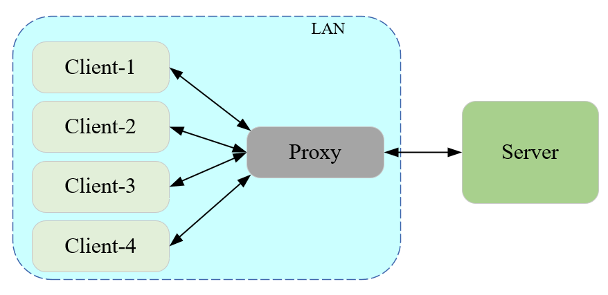 Proxy Server | Rock Cohen